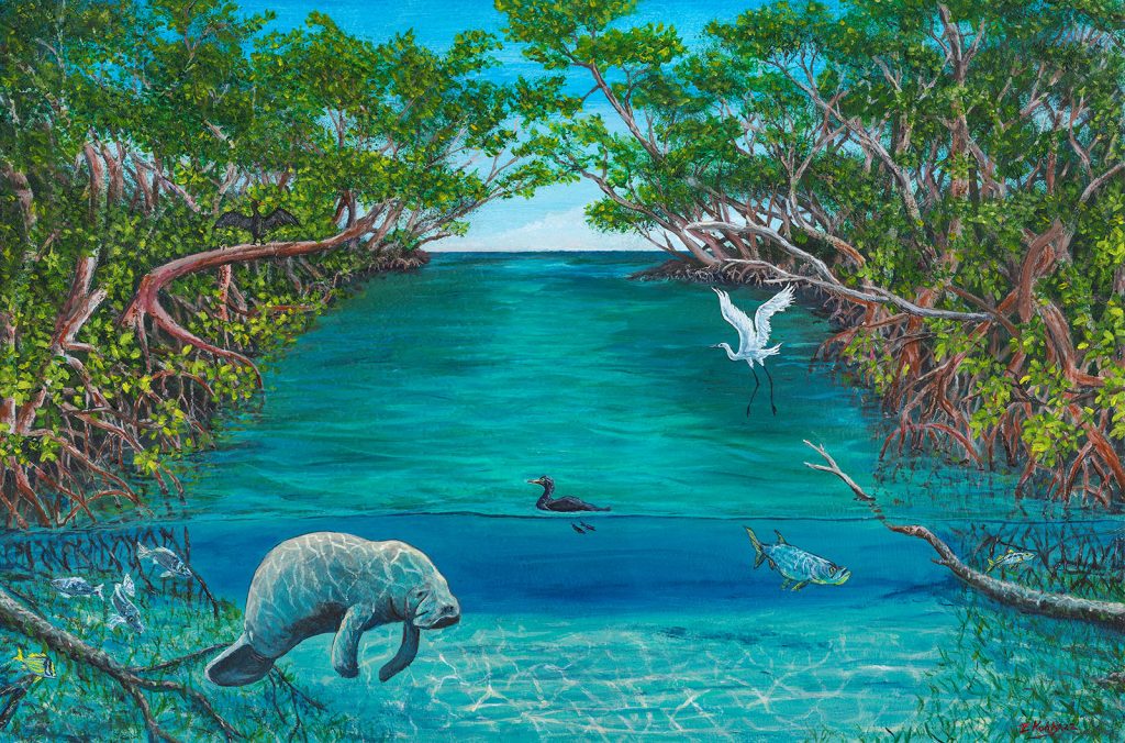 Mangrove - Kohly Art